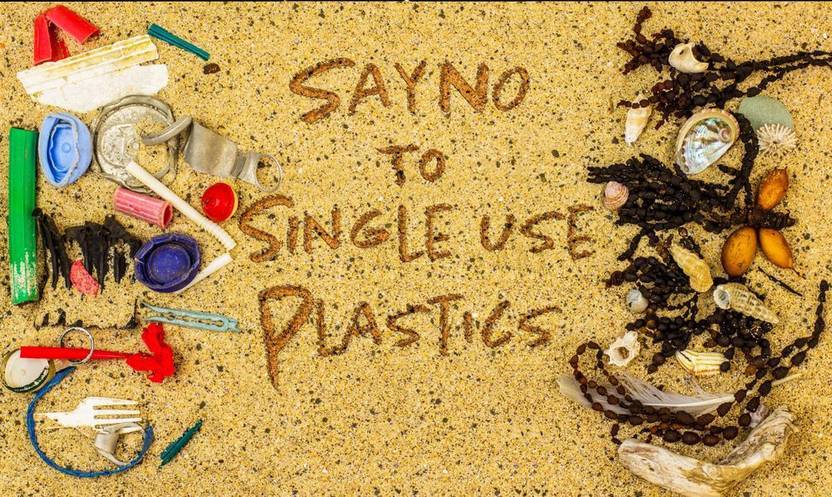 say not plastic sticker poster|save environment|NO plastic|save earth ...