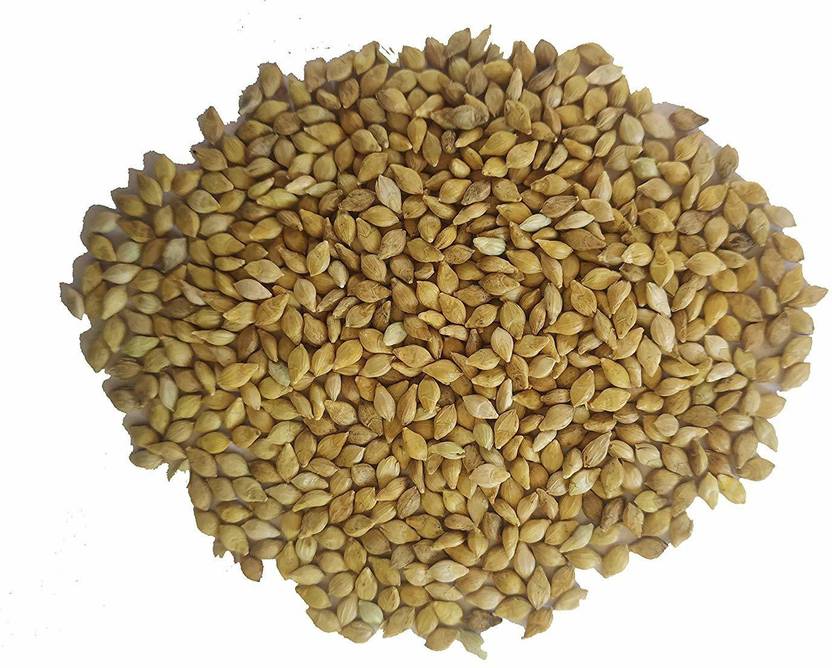 varsha traders Organic Browntop Millet/Makra/Andu Korralu/Pala Pul ...
