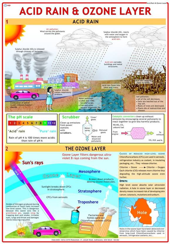 Environment Chart - Acid Rain Photographic Paper - Educational posters ...