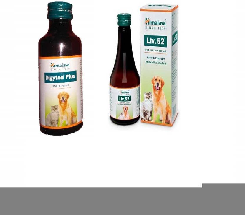 HIMALAYA Digyton Plus Syrup For gastric infections & Liver Tonic For ...