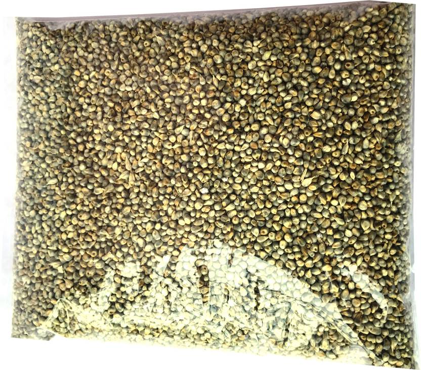 Nitishree 100% Natural Pearl Millet (Bajra/Kambu) Bird Food for Canary ...