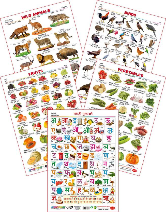 Spectrum Set of 5 Educational Large Wall Charts : ( Wild Animals ...