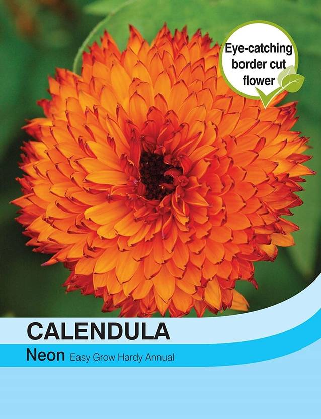 DROXTY ™ ICRA-110-Calendula Pot Marigold Nova-50 x Seeds Seed Price in ...