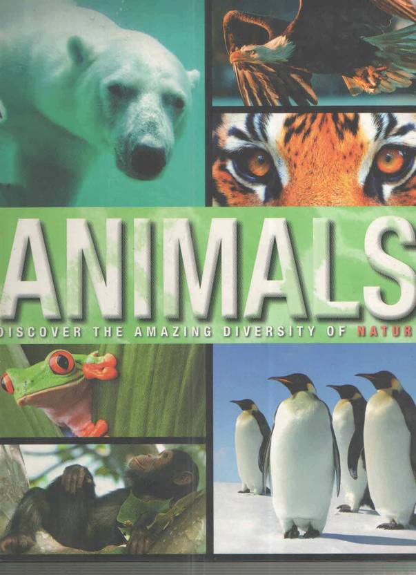 Animals Discover The Amazing Diversity Of Nature: Buy Animals Discover ...