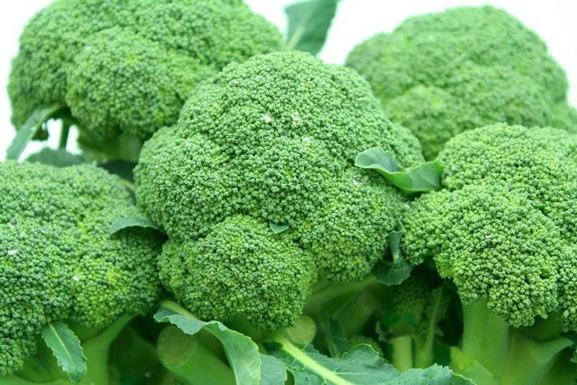 Sjeme Sun King broccoli seed Seed Price in India - Buy Sjeme Sun King ...