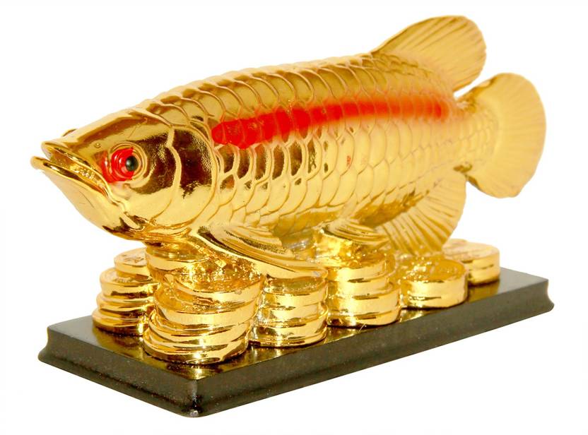 9tees Mart / Vastu / Feng Shui / Arowana Fish On Money Coins Bed For ...
