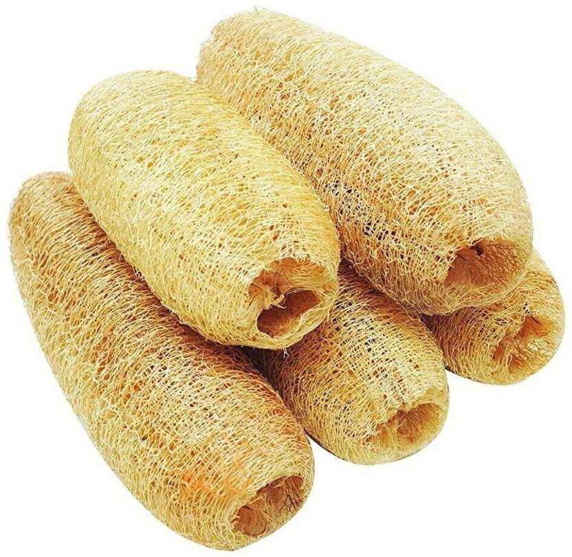 Organic Loofah - Price in India, Buy Organic Loofah Online In India ...