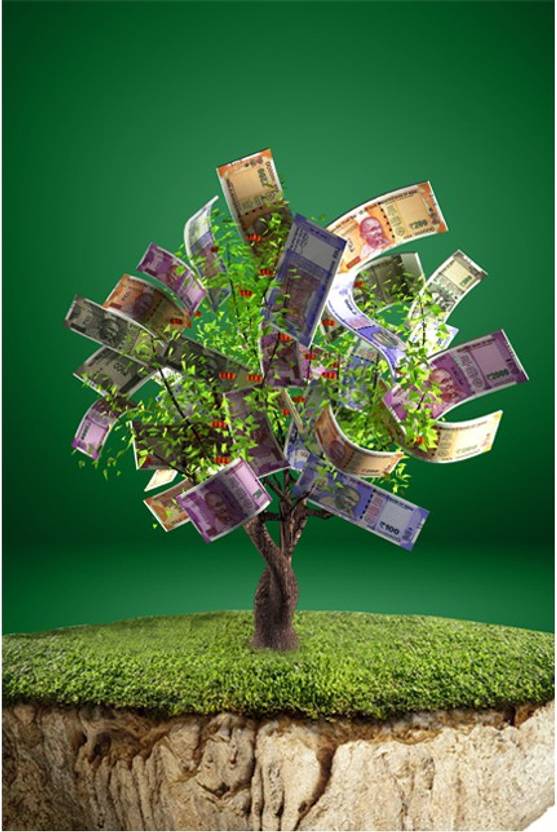 Vastu Moeny Tree in Green || Indian Money Tree Photographic Paper - Art ...