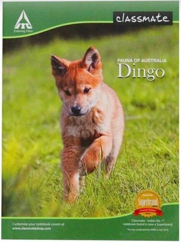 Classmate Stationery A4 Notebook Maths Ruled(24x18) 172 Pages Price in ...