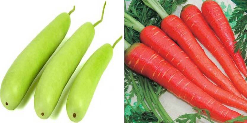 xcentax Bottle Gourd (Dhari Loki), Carrot Seed Price in India - Buy ...