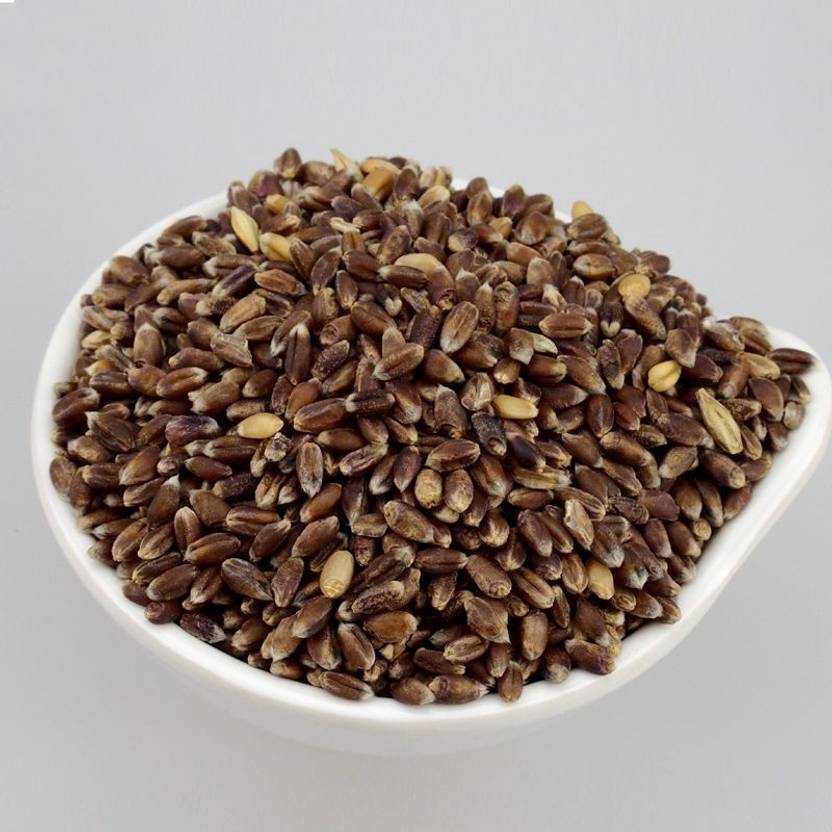 VibeX Black Wheat Seeds Seed Price in India - Buy VibeX Black Wheat ...
