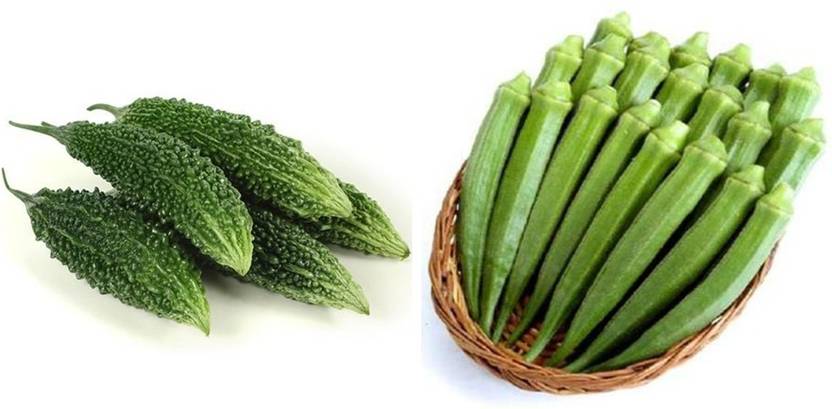 BANDARIS HORTICULTURE Okra , Bitter Gourd Seed Price in India - Buy ...