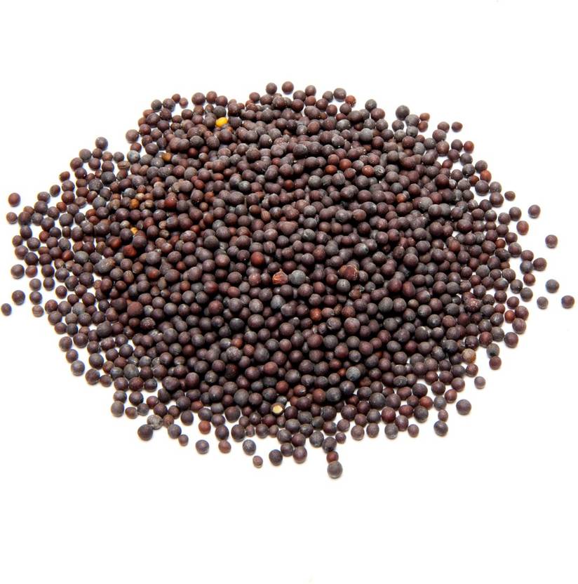 V Seed Mustard (Sarso) Seed Seed Price in India - Buy V Seed Mustard ...