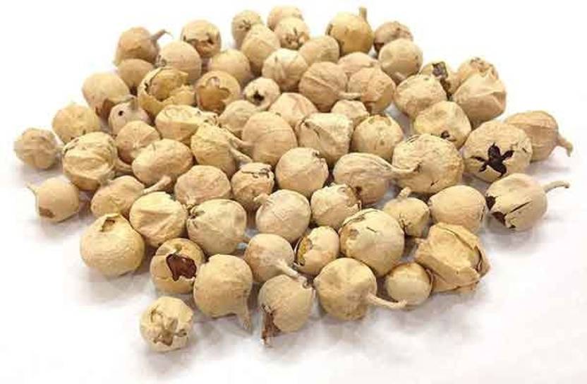 dbh box PANEER DODI- PANEER PHOOL Seed Price in India - Buy dbh box ...