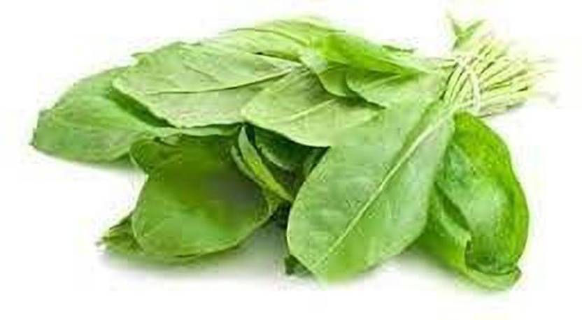 Chalisa Sorrel, Chukka kura, Leafy Vegetable Seed Price in India - Buy ...