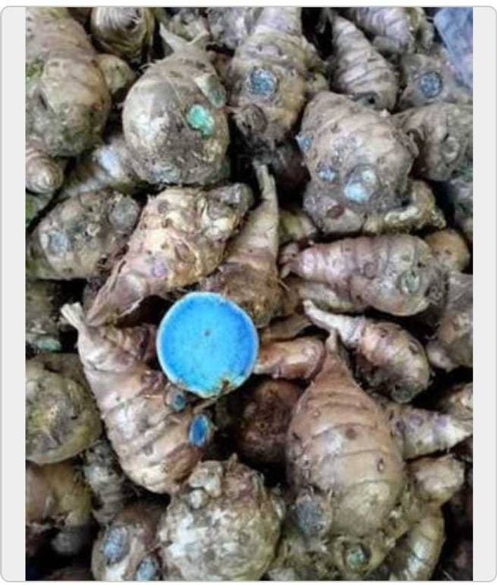 Pioneer Natural Black Turmeric, Kali Haldi, Curcuma caesia, Kaalo ...