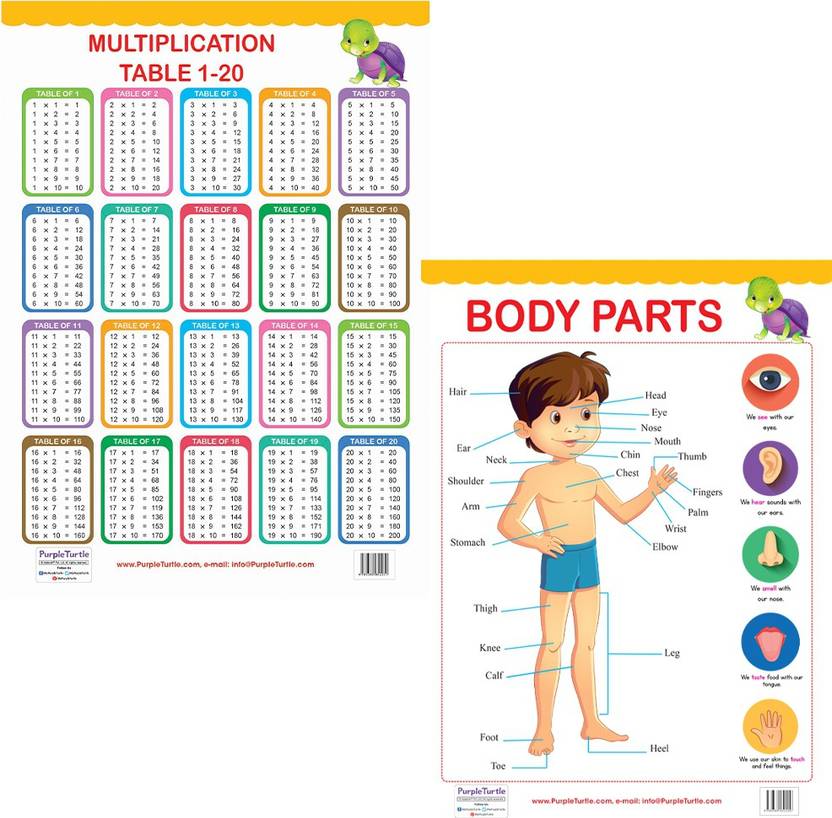 Body Parts and Multiplication Wall chart for Kids: Buy Body Parts and ...