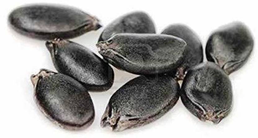 ORETIC Tori Seed Seed Price in India - Buy ORETIC Tori Seed Seed online ...