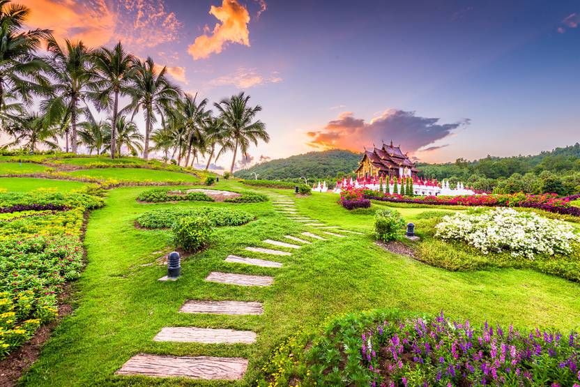 ALL DECORATIVE DESIGN Nature Multicolor Wallpaper Price in India - Buy ...