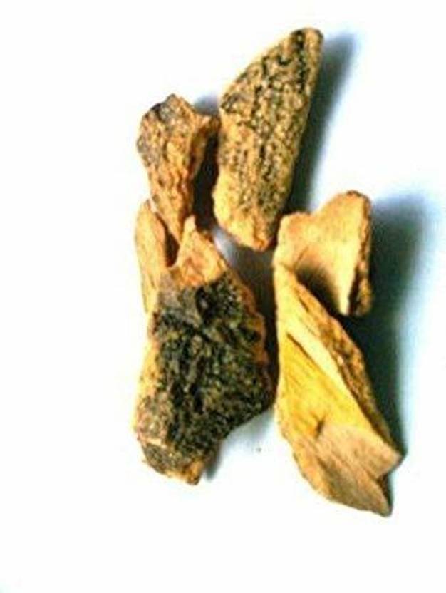 Xetomos VARUN CHAAL BARUN CHHAL 250g seeds Seed Price in India - Buy ...