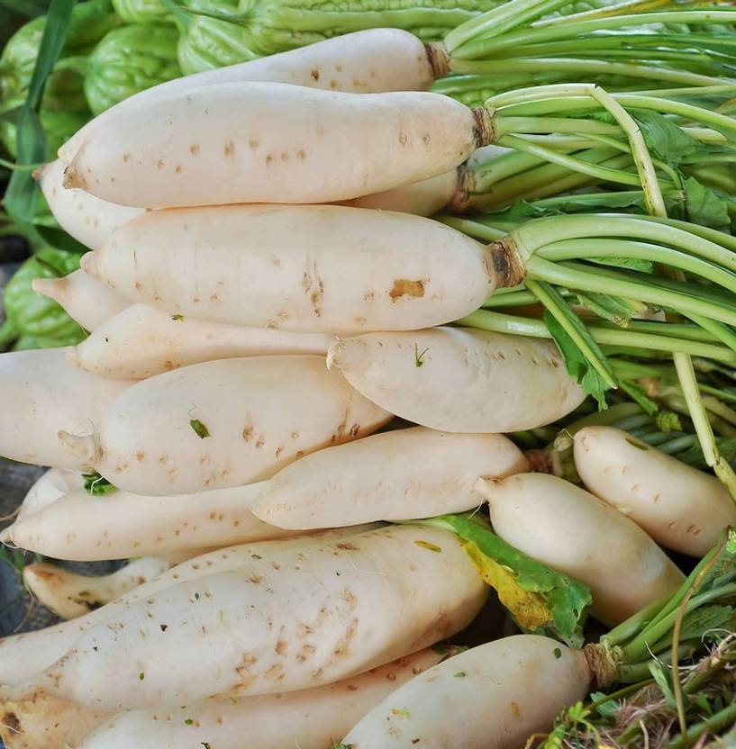 Organic Galaxy Upl Radish (Mulli) Vegetable Hybrid Variety Seed Price ...