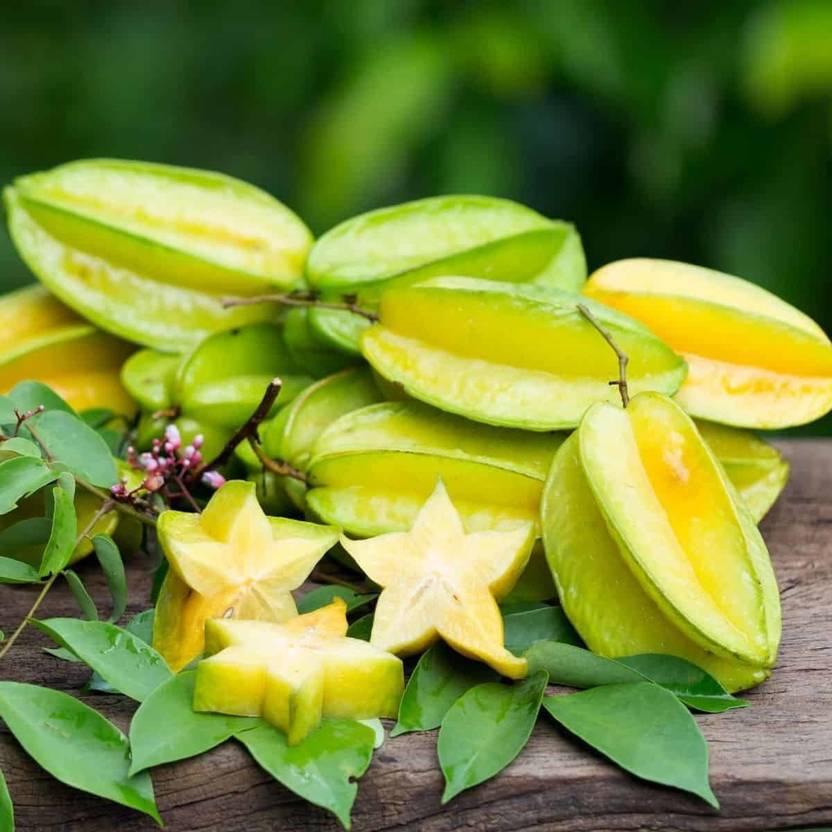 Paudha Star fruit Seed Price in India - Buy Paudha Star fruit Seed ...