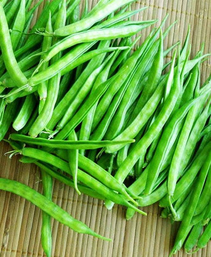 Paudha Clusterbeans (GUAR) Seed Price in India - Buy Paudha ...