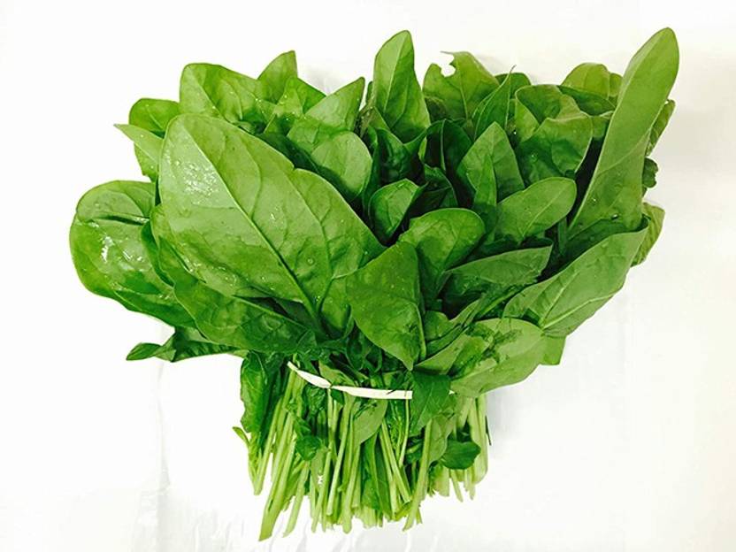 Trothic Hybrid Spinach Green Amaranthus Hara Saag Cheera Seeds Seed