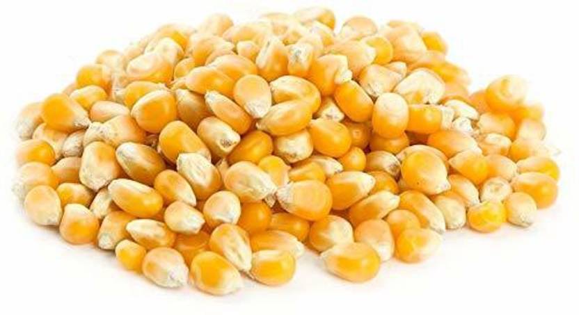 Roods Fresh Popcorn Kernels | Unpopped Popcorn Seeds | Makki | Premium ...