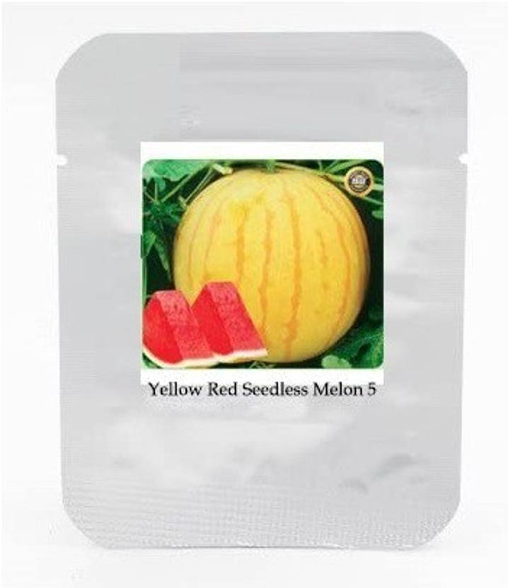 WILLVINE Heirloom 'Huang Pi Qiu' Yellow Skin Red Seedless Watermelon ...