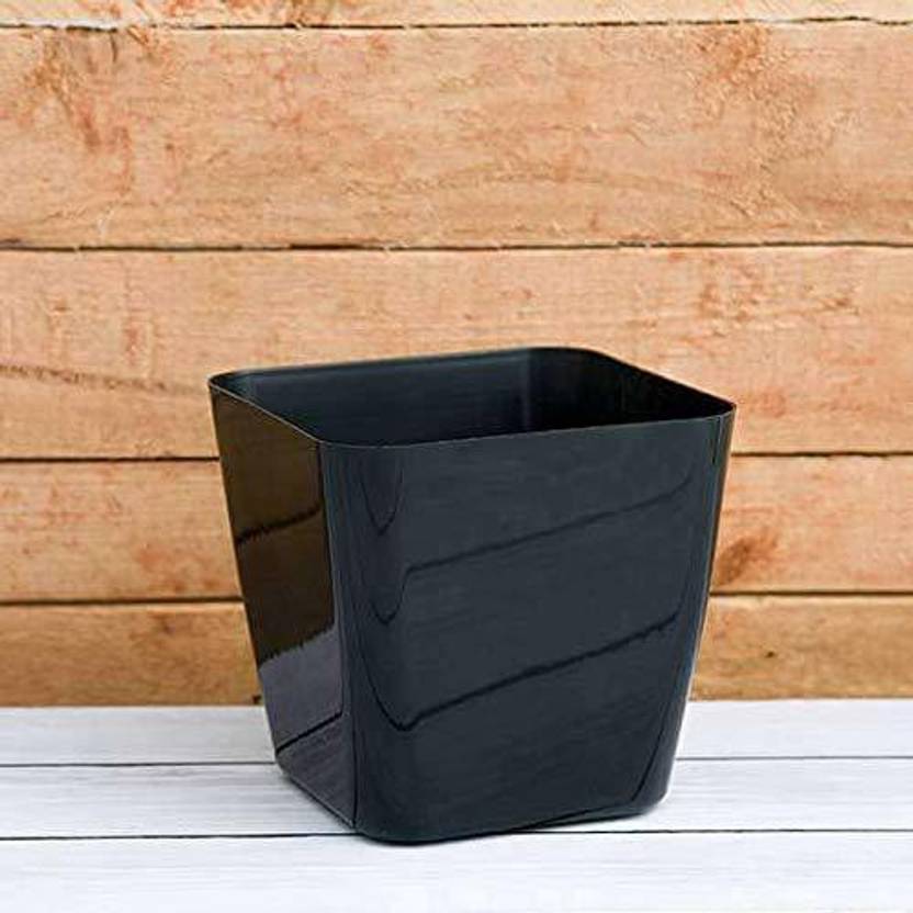 Chamunda Greens Square Plastic Planter with Rounded Edges 6.7 inch (17 ...