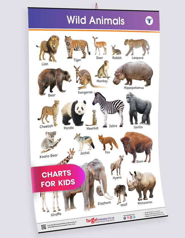 Kids Learning Wall Chart | Wild Animals Chart For Kids|Chart For ...
