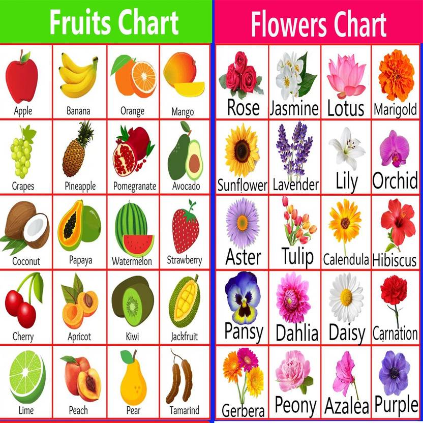 Wall gallery 45.72 cm Fruits And Flowers Chart For Kids,School ...