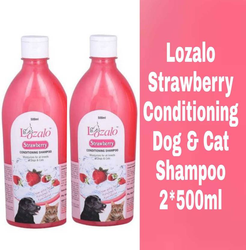 Lozalo Conditioning Strawberry Dog Shampoo Price in India - Buy Lozalo ...