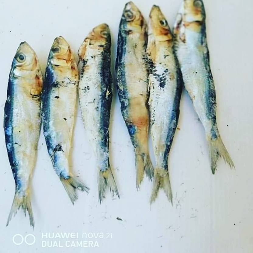 Aathesh dry fish & enterprise Dry fish matthi sala karuvadu Fish 0.75 ...