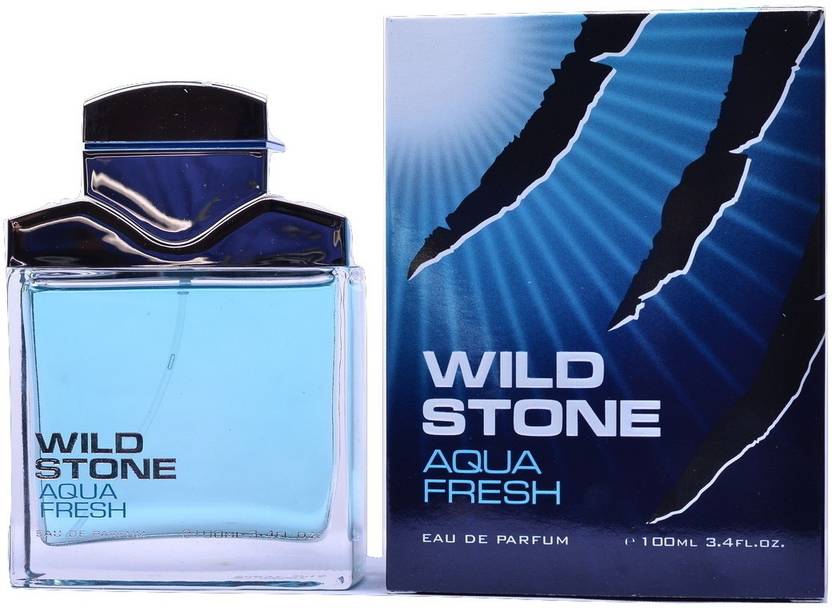 Buy Wild Stone AQUA FRESH PERFUME Eau de Parfum - 100 ml Online In ...