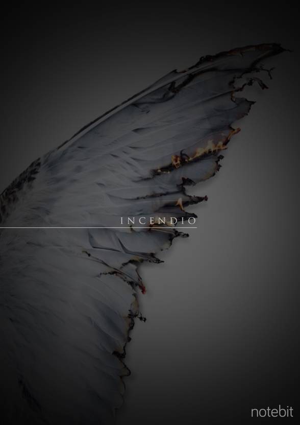 Incendio Spell Harry Potter Poster Paper Print - Movies posters in ...