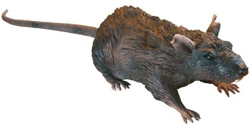 Uncle Milton Rat - Rat . Buy Rat toys in India. shop for Uncle Milton ...