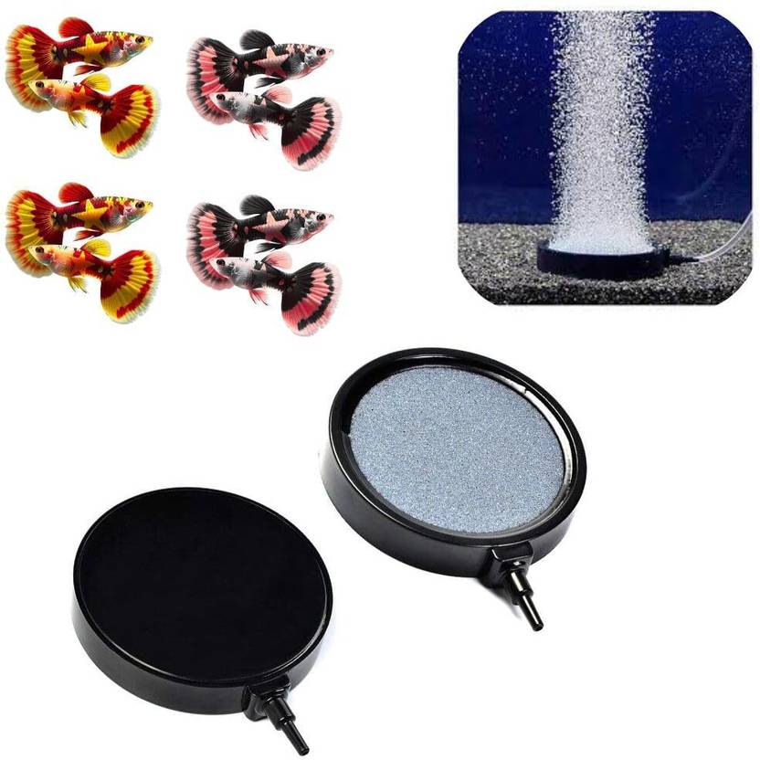 CEESHA Round Ceramic Air Stone Bubble Diffuser for Fish Tank Aquarium ...