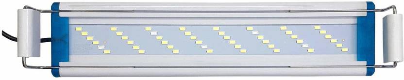 Venus Aqua Blue LED Aquarium Light Price in India - Buy Venus Aqua Blue ...