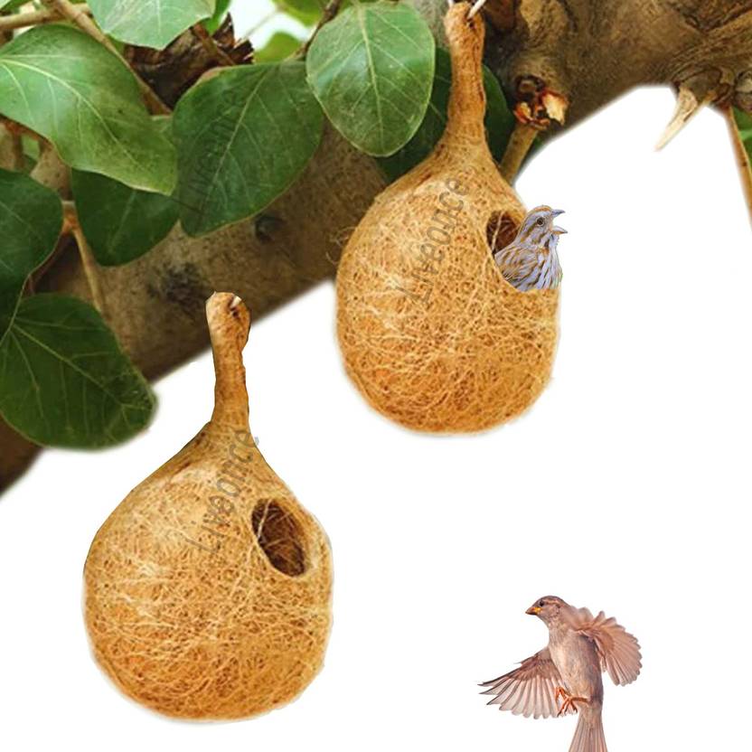 LIVEONCE NATURAL BIRD NEST FOR ALL SPECIES BIRDS, SQUARIEEL pack of 2 ...