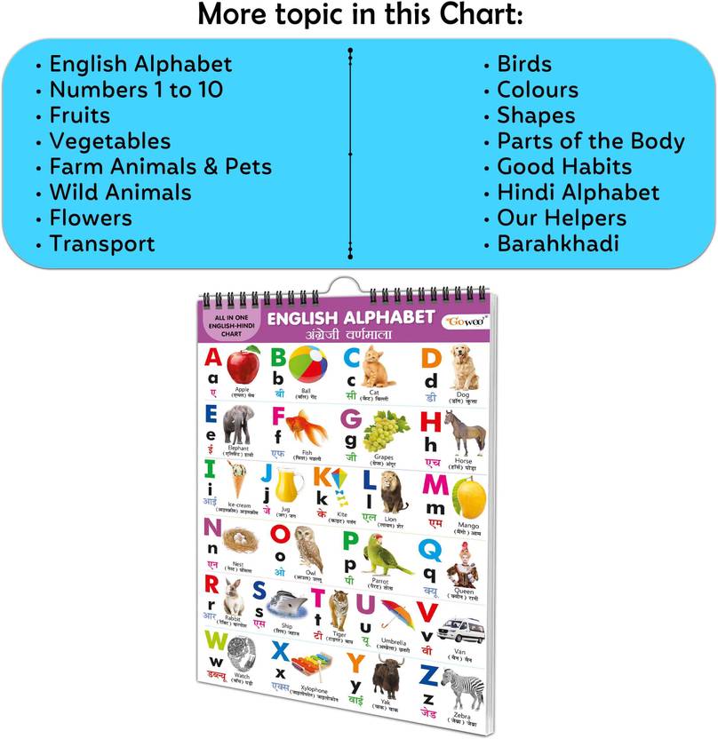 My First ALL IN ONE SPIRAL CHART ENGLISH-HINDI : Chart For Children ...