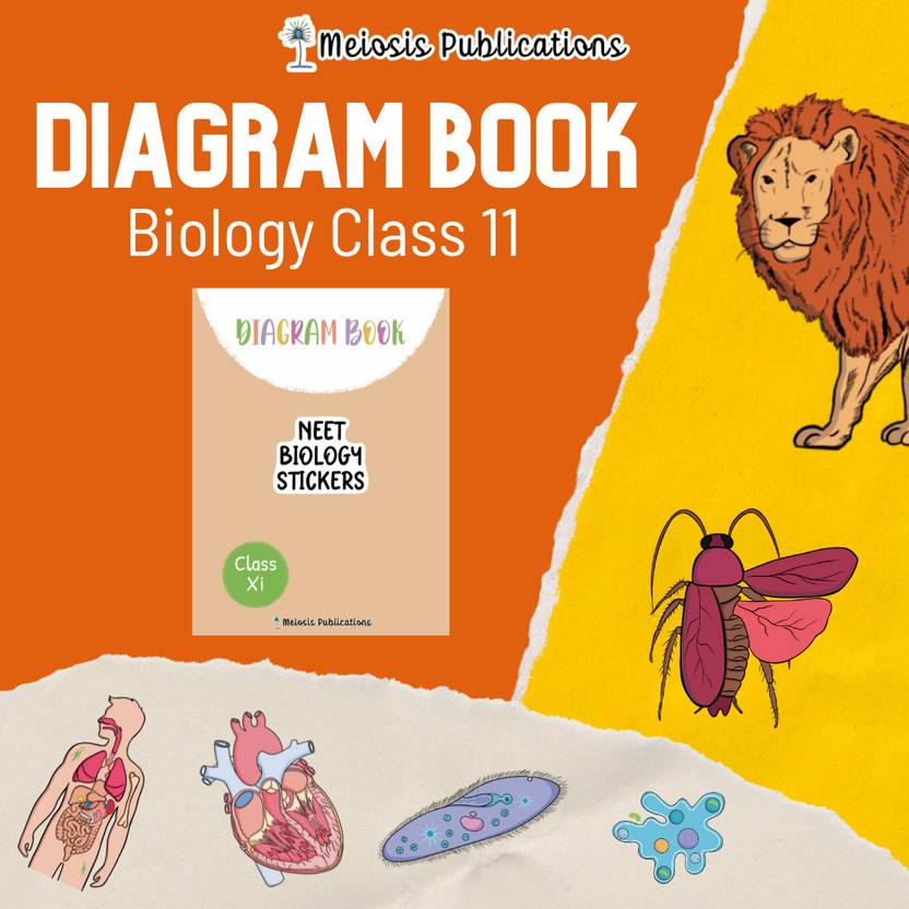 Neet Biology Diagrams Sticker Book for Class 11 - Meiosis Publications ...