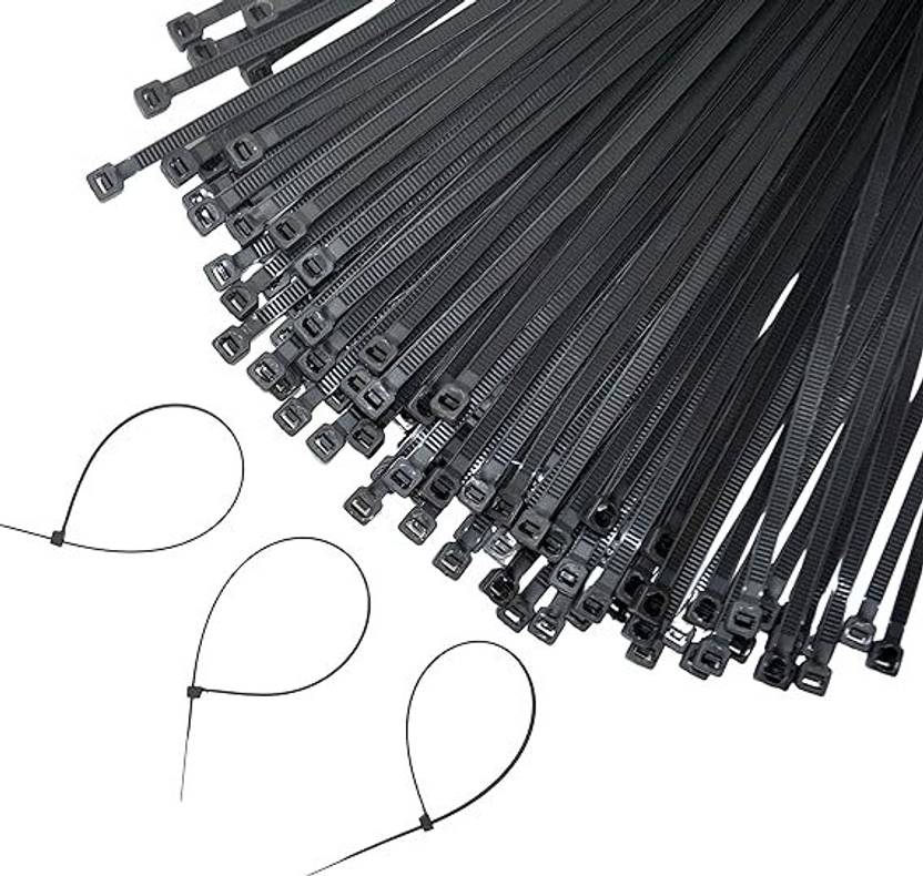 Padma Nylon Self Locking Cable Ties, Black (100 mm x 2.5 mm, 4 inch ...