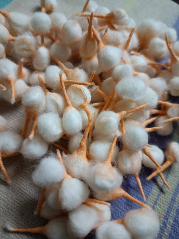 fresh train HOMEMADE Cotton Wicks Made With Milk| Pooja Batti| Rui Ki ...