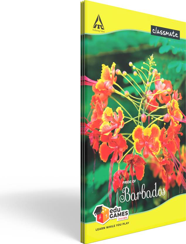 Classmate Longbook Regular Notebook unruled 160 Pages Price in India ...