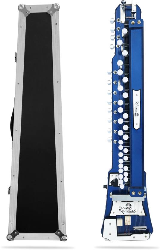 The Kamlesh Indian Banjo (Bulbul Tarang) with Protective Box - 29Keys ...