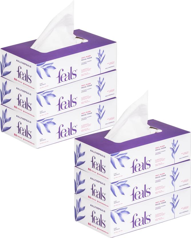FEALS 2 Ply Facial Tissue Paper Box - 100 Pulls / Box (Pack of 6 ...