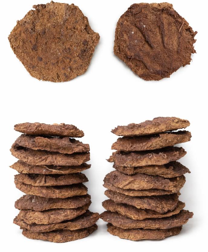 KOLEY ENTERPRISE Natural Brown Havan Cow Dung Cake Price in India - Buy ...