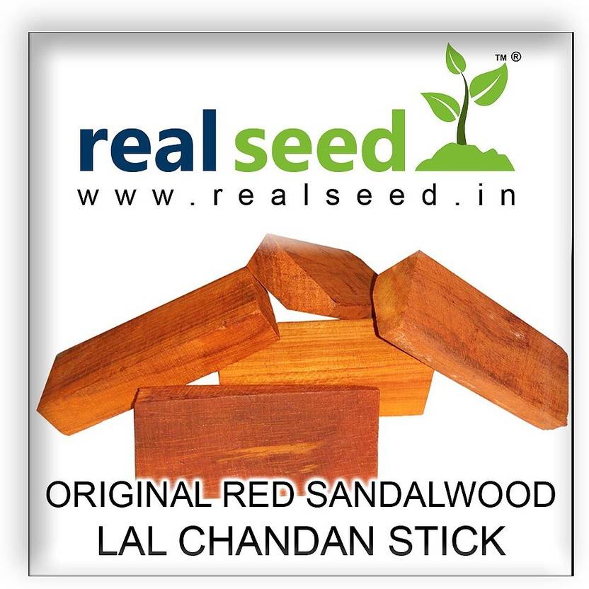 Real Seed Original Red Sandalwood (Lal Chandan) Stick Superior Quality ...